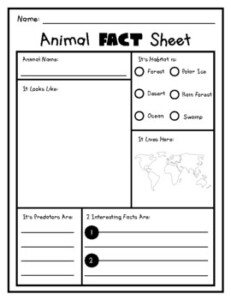 Animal Fact Sheet Templates Middle School - schoolprintablesheets.com