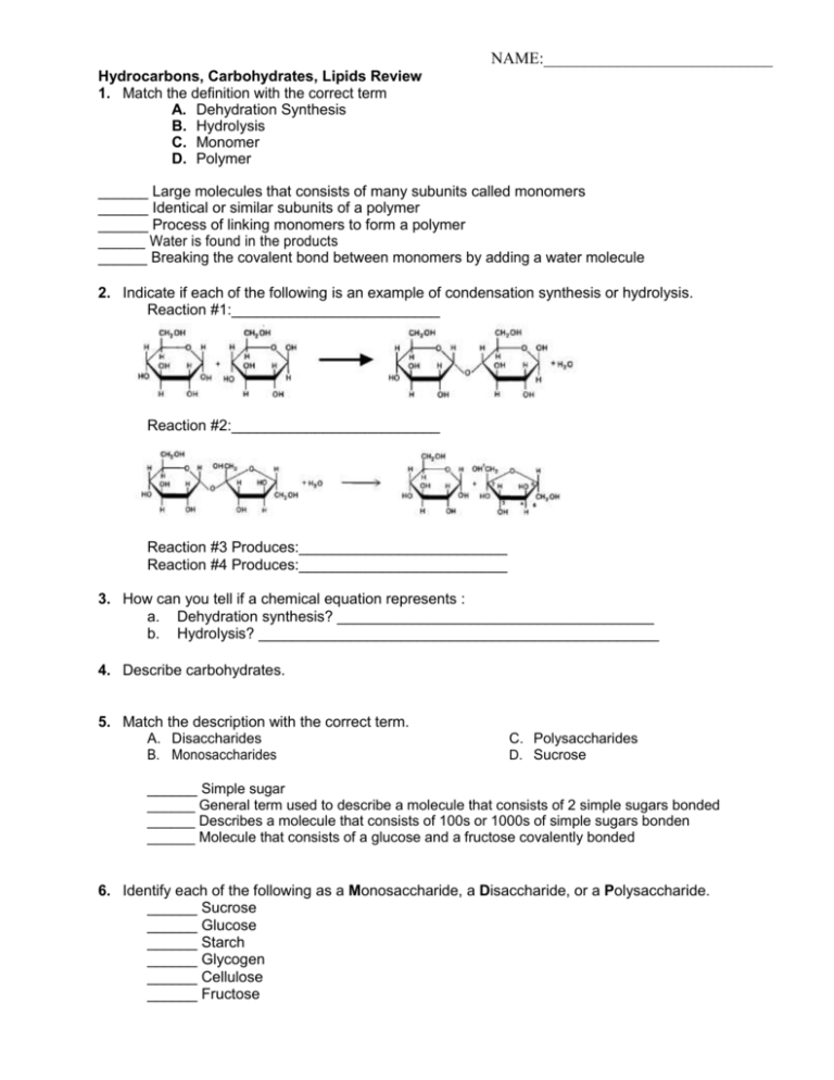Biochemistry Work Sheet High School - schoolprintablesheets.com