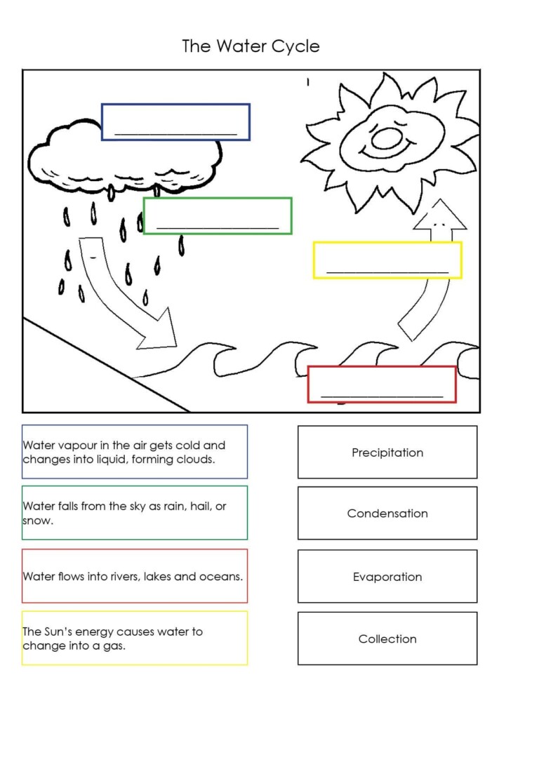 6Th Grade Middle School Water Cycle Empty Sheet - schoolprintablesheets.com